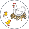 Hatchery Management : Poultry farms, Breeder, Layer , Hatchery ...